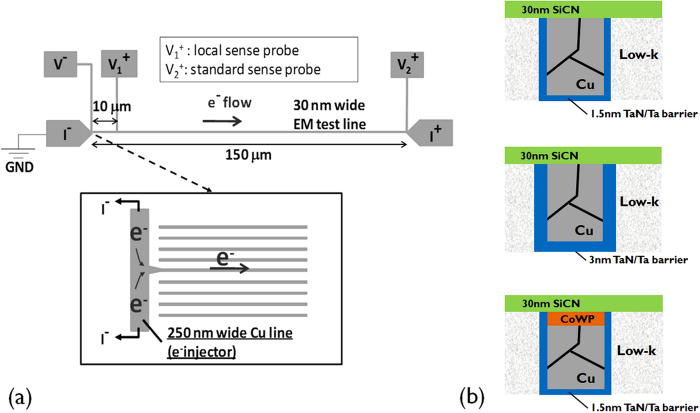 In-situ scanning electron microscope observation of electromigration ...