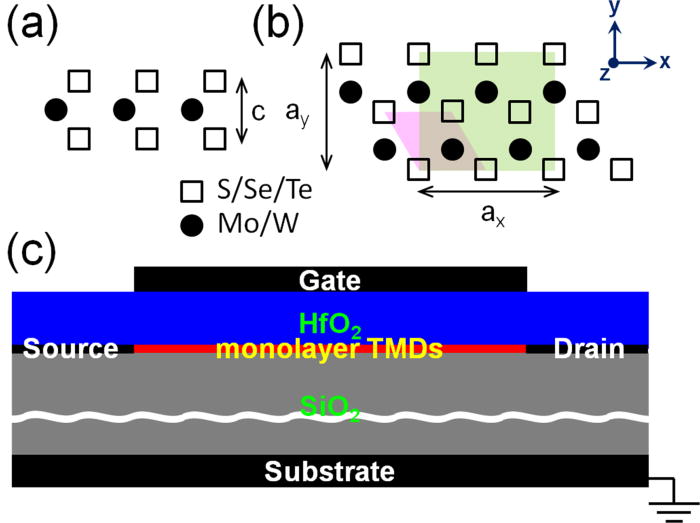 Ballistic performance comparison of monolayer transition metal ...