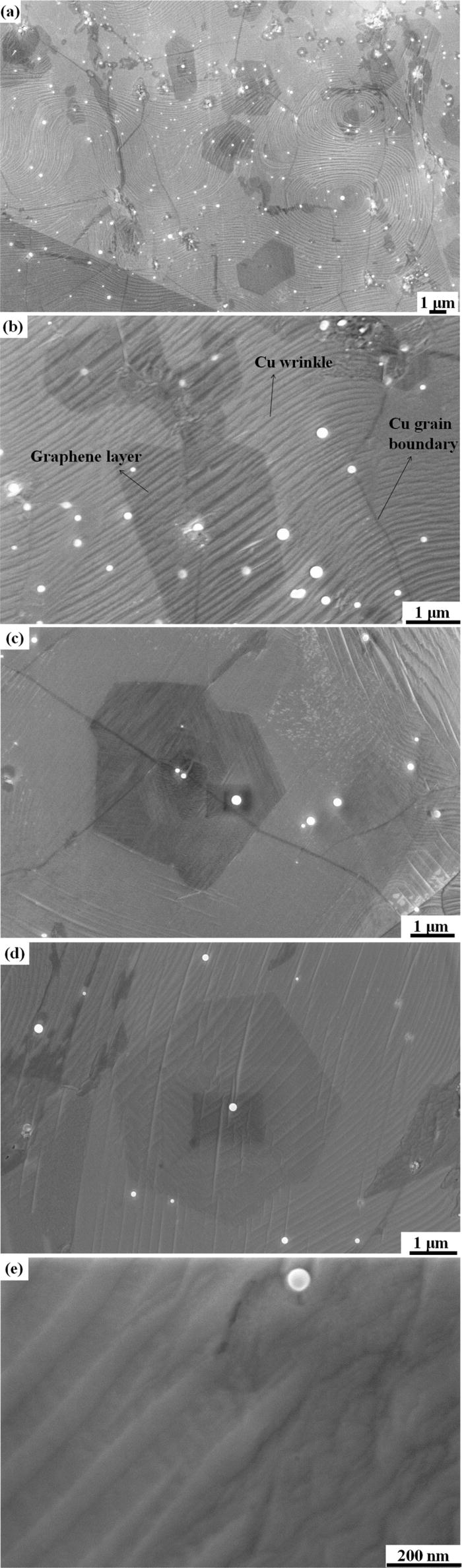 Surface diffusion coefficient of Au atoms on single layer graphene ...