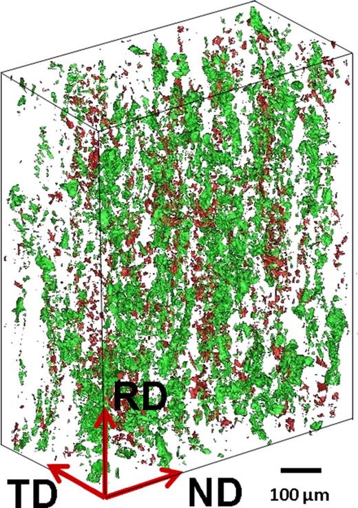 Modeling and characterizing anisotropic inclusion orientation in ...