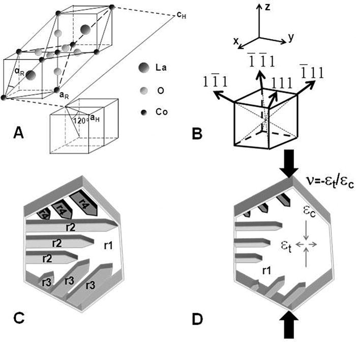 In-situ neutron diffraction of LaCoO3 perovskite under uniaxial ...