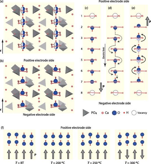 Polarization-induced surface charges in hydroxyapatite ceramics ...