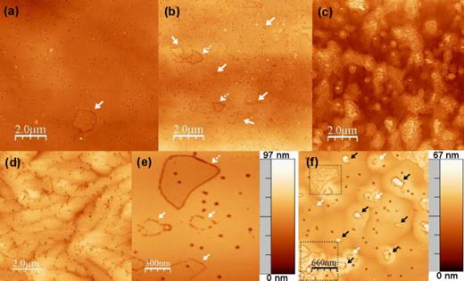 Structure and strain relaxation effects of defects in InxGa1−xN ...