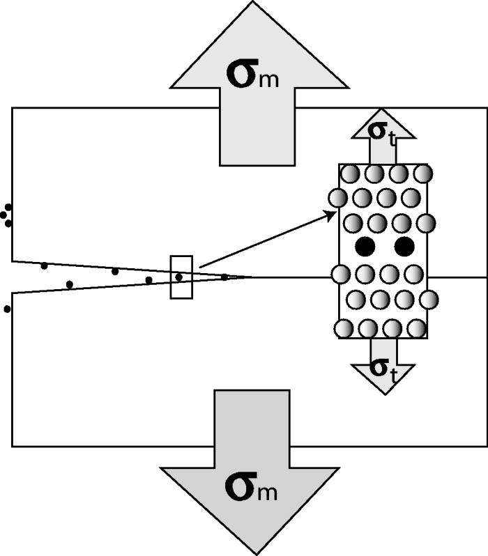 Solute embrittlement of SiC | Journal of Applied Physics | AIP Publishing