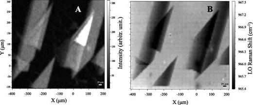 A novel micro-Raman technique to detect and characterize 4H-SiC ...