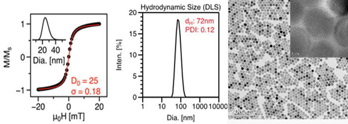 Slew-rate dependence of tracer magnetization response in magnetic ...
