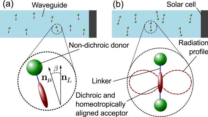 Homeotropic alignment and Förster resonance energy transfer: The way to ...