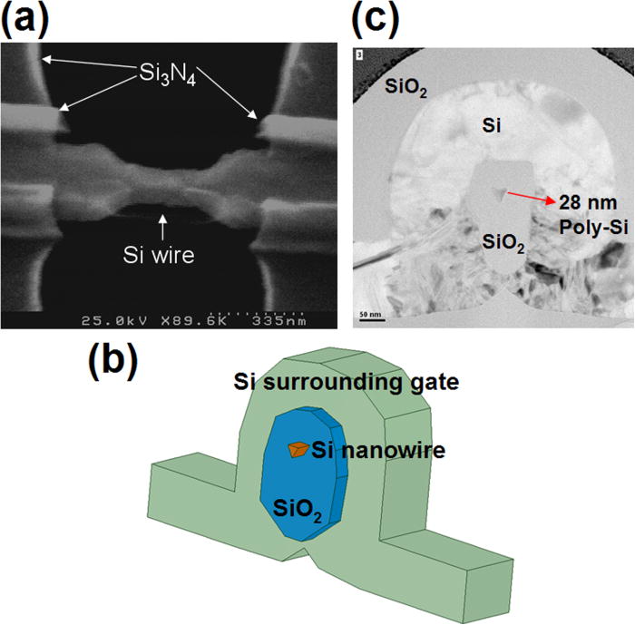 Random telegraph signal and spin characteristics of the gate-all-around ...
