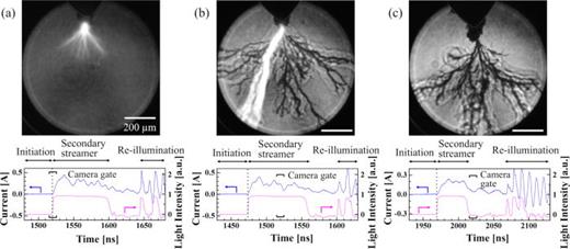 Initiation process and propagation mechanism of positive streamer ...