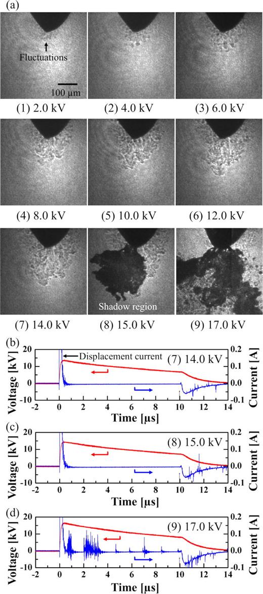 Initiation process and propagation mechanism of positive streamer ...