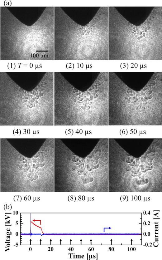 Initiation process and propagation mechanism of positive streamer ...