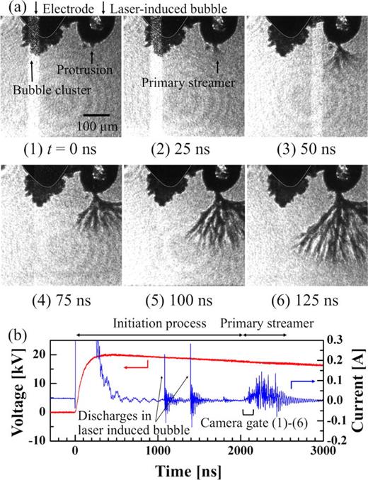 Initiation process and propagation mechanism of positive streamer ...
