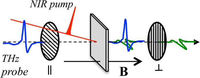 Ultrafast terahertz Faraday rotation in graphene | Journal of Applied ...
