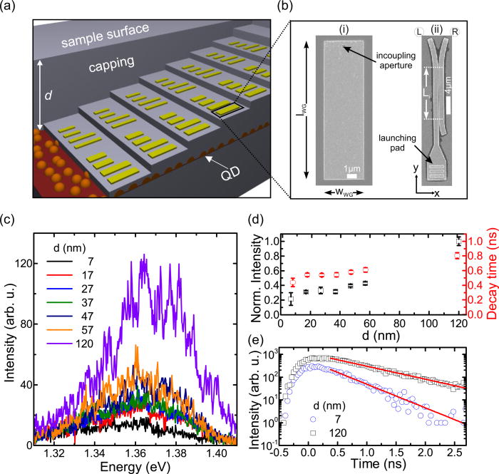 Imaging surface plasmon polaritons using proximal self-assembled InGaAs ...