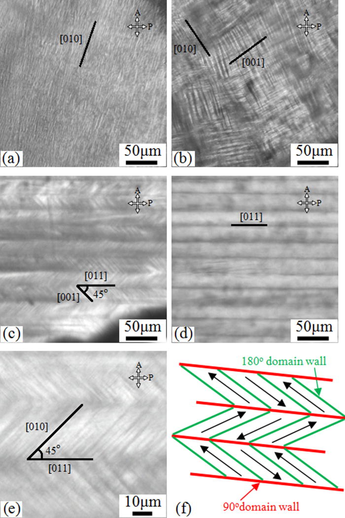 In-situ observation of domain wall motion in Pb(In1/2Nb1/2)O3-Pb(Mg1 ...