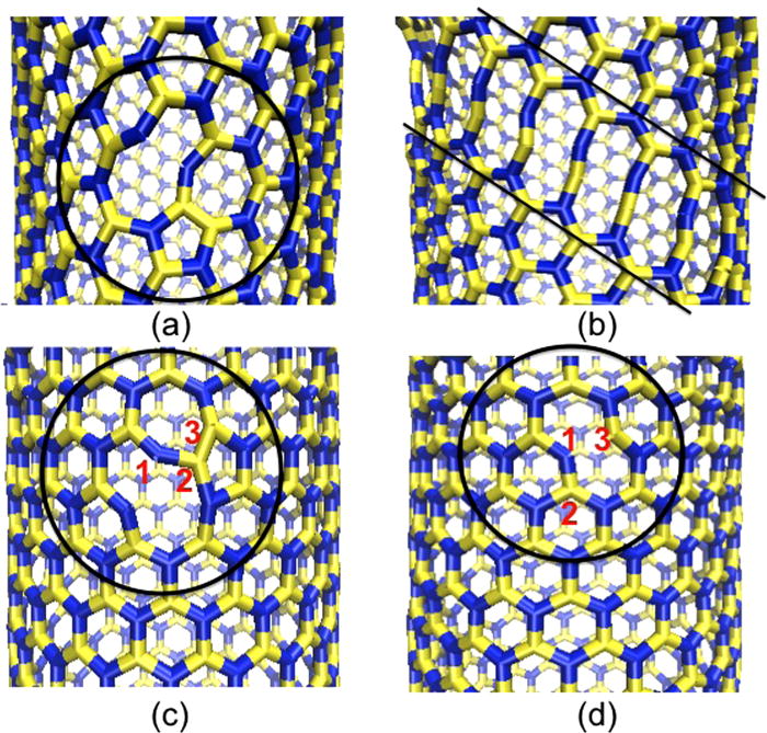 Defect induced plasticity and failure mechanism of boron nitride ...