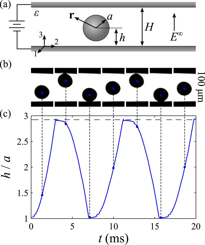 Charge and force on a conductive sphere between two parallel electrodes ...