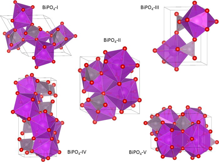 Exploring the high-pressure behavior of the three known polymorphs of ...