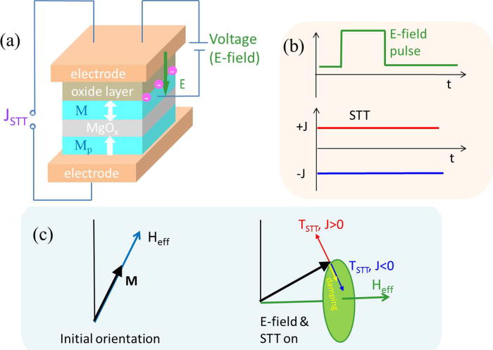 Simulation of electric-field and spin-transfer-torque induced magnetization switching in ...