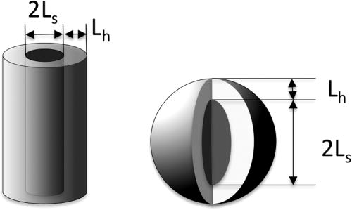 Magnetization processes in core/shell exchange-spring structures ...