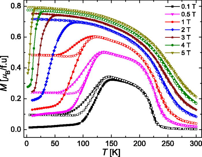 Magnetic phase coexistence and metastability caused by the first-order ...