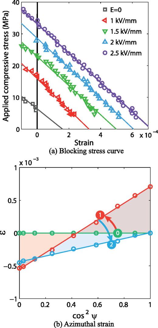 Revisiting the blocking force test on ferroelectric ceramics using high ...