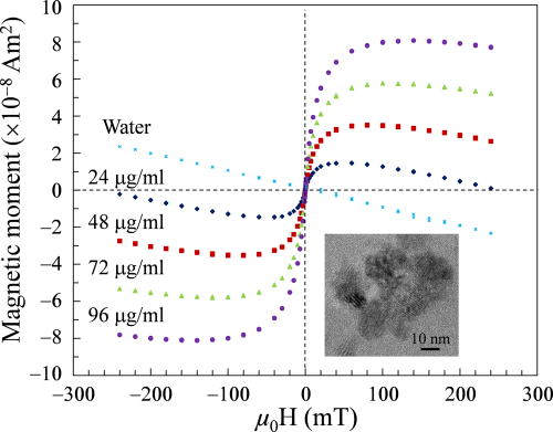 Characterization of the magnetic moment distribution in low ...