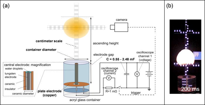 Correlation of size, velocity, and autonomous phase of a plasmoid in ...