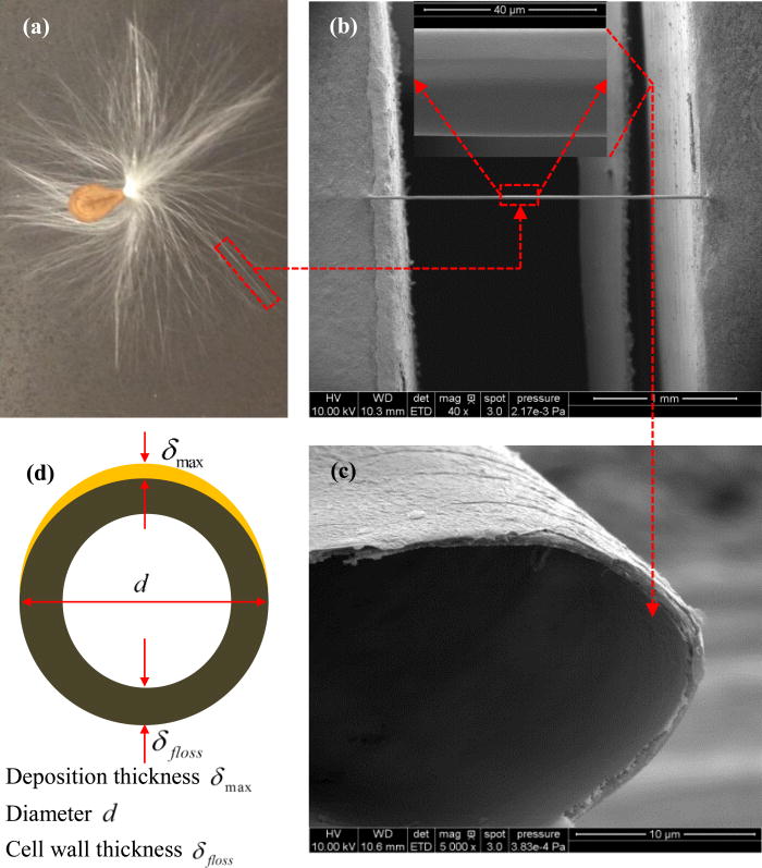 Temperature dependent behavior of thermal conductivity of sub-5 nm Ir ...