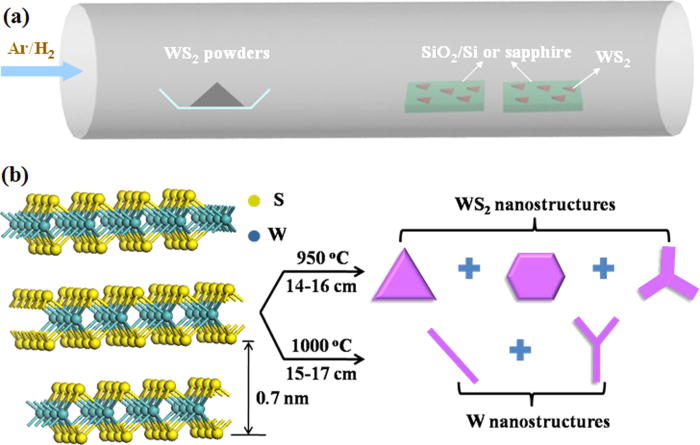 Synthesis, characterization of WS2 nanostructures by vapor phase ...