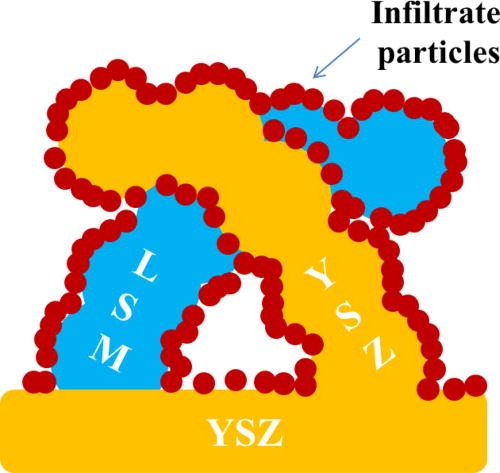 Phase field modeling of microstructure evolution of electrocatalyst ...