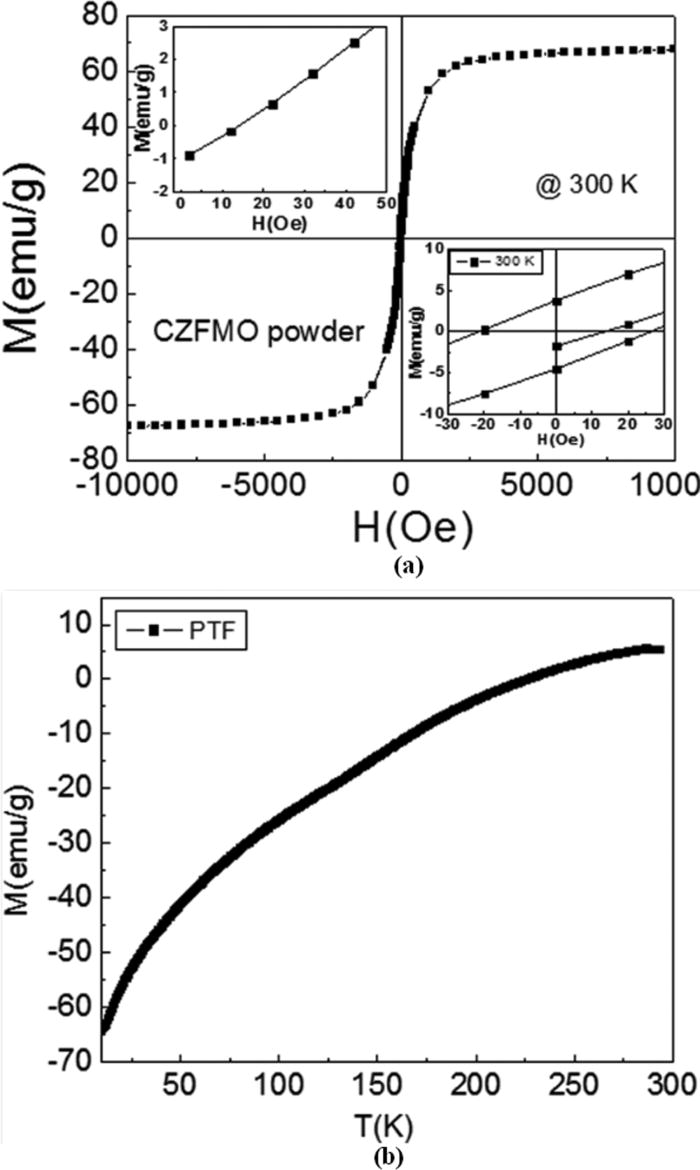 Negative spontaneous magnetization and semi-spin glass magnetic order ...