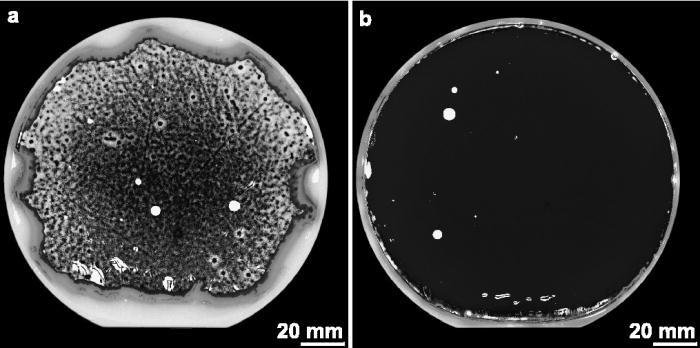 Physical mechanisms of copper-copper wafer bonding | Journal of Applied ...