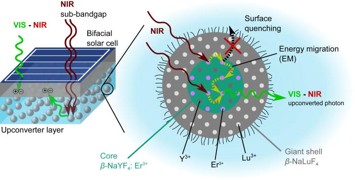 Upconverting core-shell nanocrystals with high quantum yield under low irradiance: On the role ...