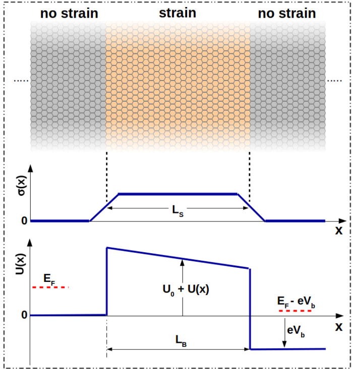 Strong negative differential conductance in strained graphene devices ...