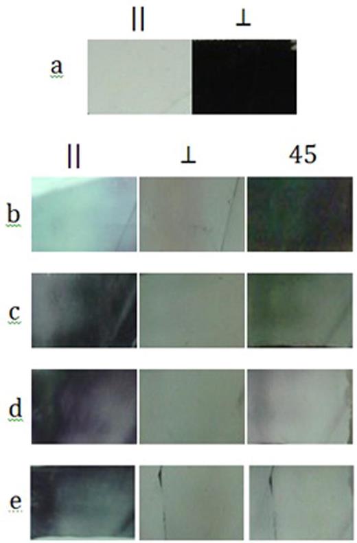 Versatile alignment layer method for new types of liquid crystal ...