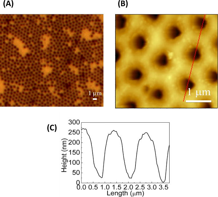 Large scale micro-structured optical second harmonic generation ...