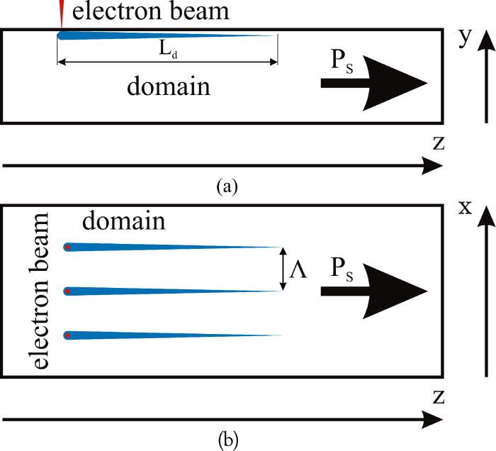 Characteristics of microdomains and microdomain patterns recorded by ...