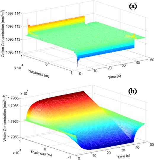 Multi-physical model of cation and water transport in ionic polymer ...