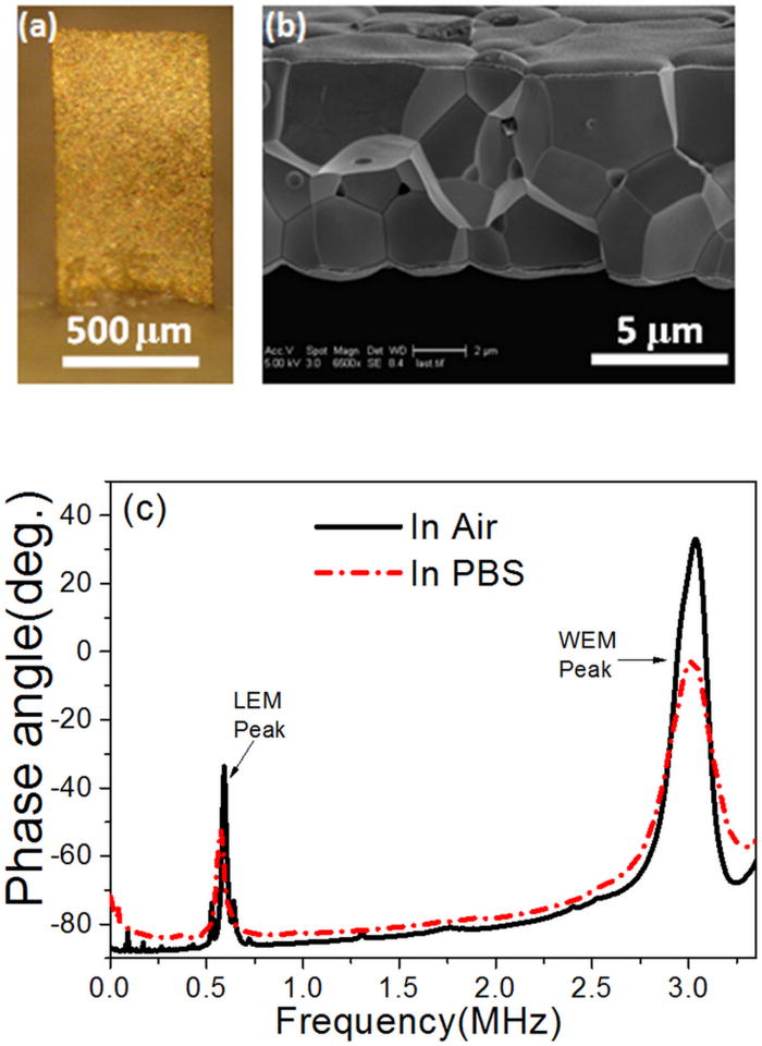 Direct observation of binding stress-induced crystalline orientation ...