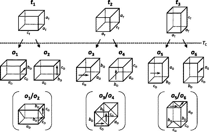 Orientation control and domain structure analysis of {100}-oriented ...