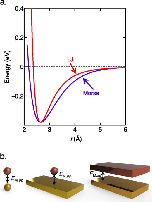 Morse potential-based model for contacting composite rough surfaces: Application to self ...
