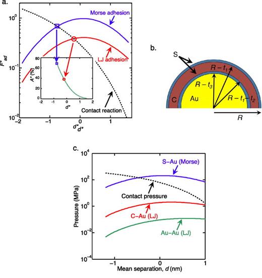 Morse potential-based model for contacting composite rough surfaces ...