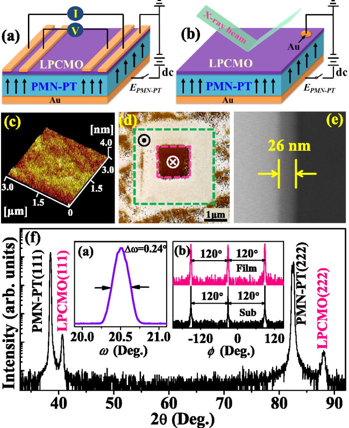 Coupling of electric charge and magnetic field via electronic phase ...