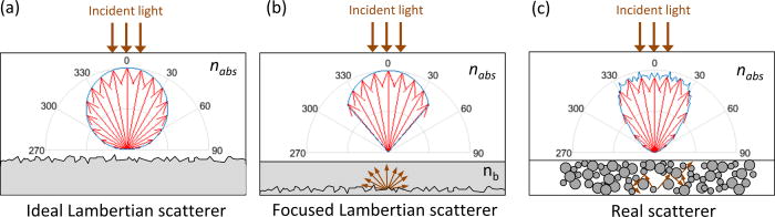 Experimental demonstration and modeling of the internal light ...