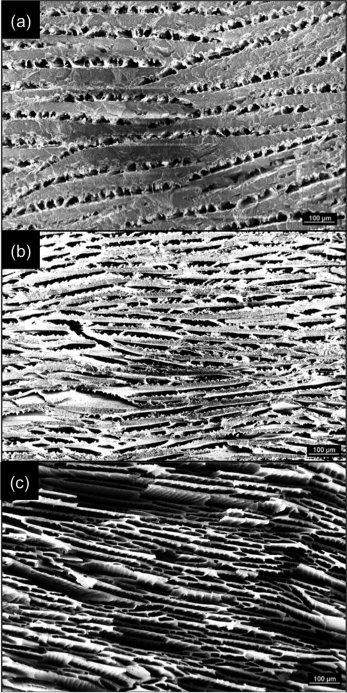 Dynamic fragmentation of cellular, ice-templated alumina scaffolds | Journal of Applied Physics ...