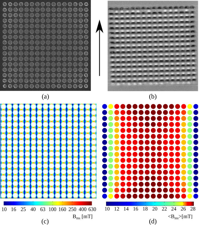 Magnetization reversal in magnetic dot arrays: Nearest-neighbor ...