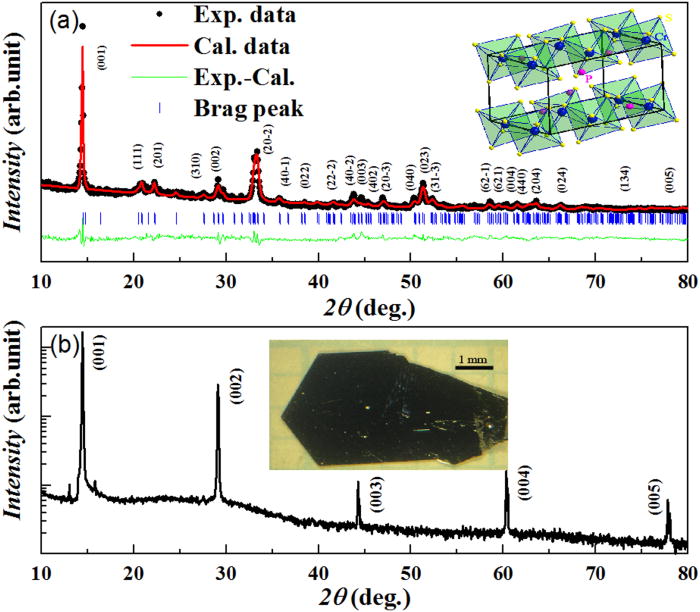 Spin dynamics, electronic, and thermal transport properties of two ...