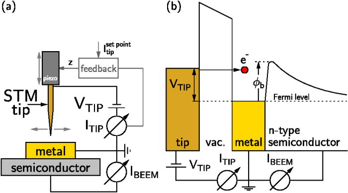 Relating spatially resolved maps of the Schottky barrier height to ...