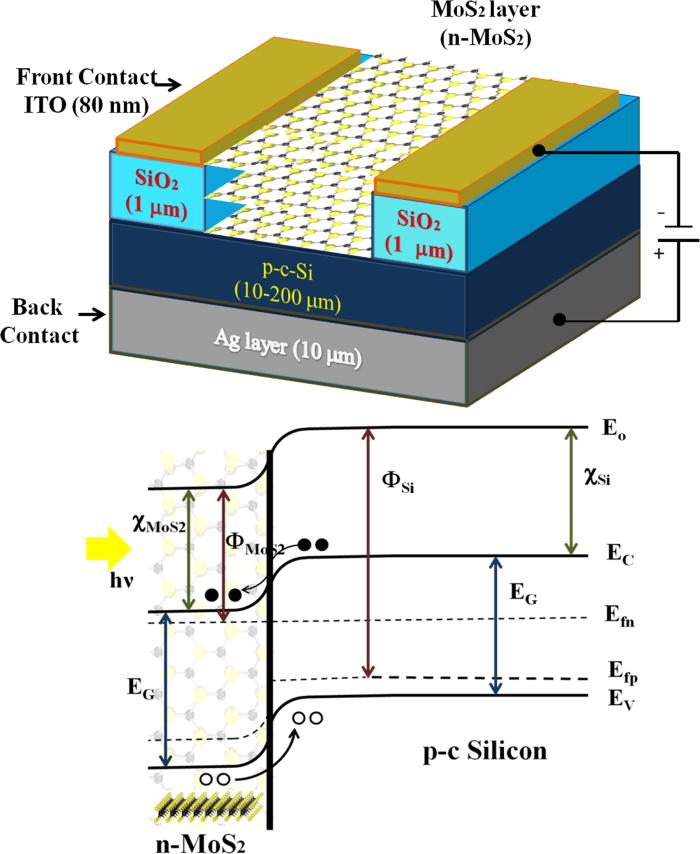 Potential application of mono/bi-layer molybdenum disulfide (MoS2 ...